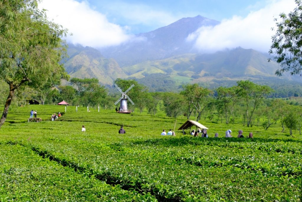 Destinasi Wisata Malang dengan Pemandangan Instagramable