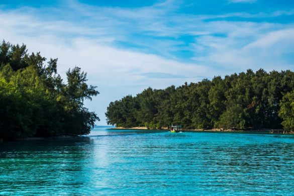 RTTMC Kemenhub: Pantau Lalu Lintas Mudik Lewat CCTV Online